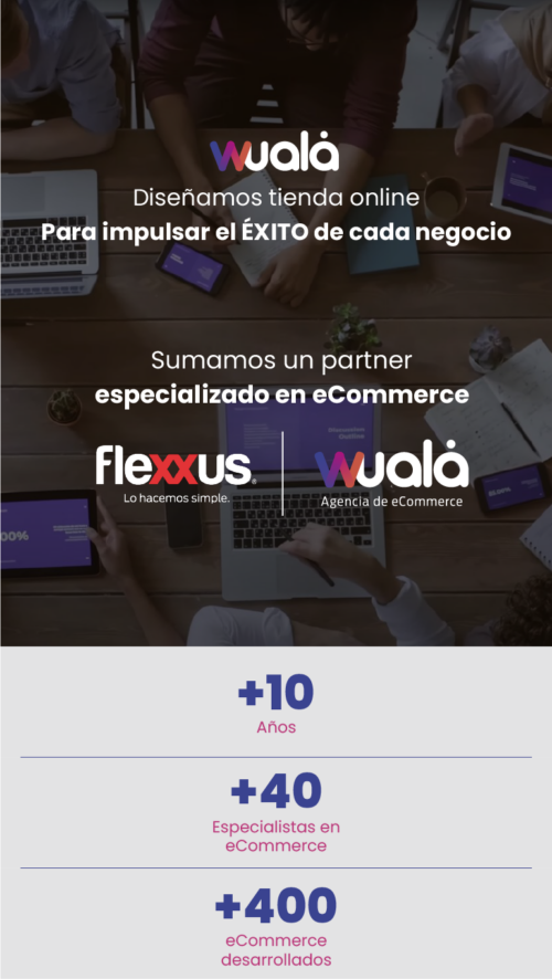 eCommerce B2C - Flexxus