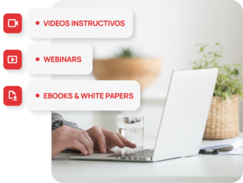 Flexxus Academy - Flexxus